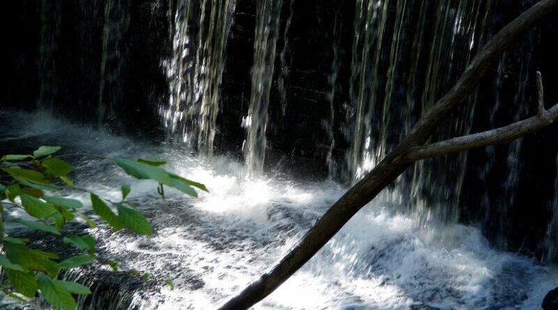 Ephemeral Streams Likely To Have Significant Effect On US Water Quality ...