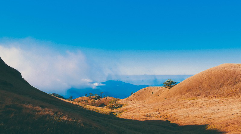 Philippine’s Second Highest Peak And Home To Two Life-Saving Plants Is ...