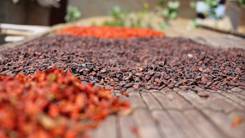 Can Sustainability Standards Effectively Mitigate Food System ...