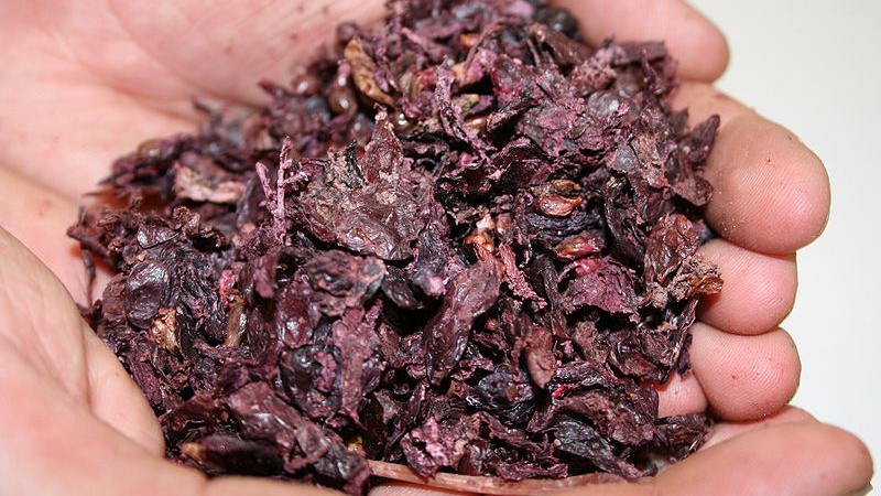 Wine’s Red Grape Pulp Offers Nutritional Bounty – Eurasia Review