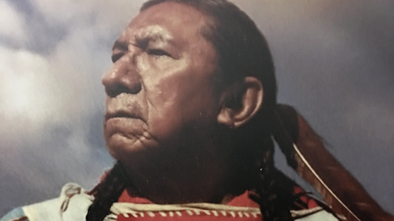 Living Descendant Of Sitting Bull Confirmed By DNA Analysis From Legendary Leader’s Hair ...