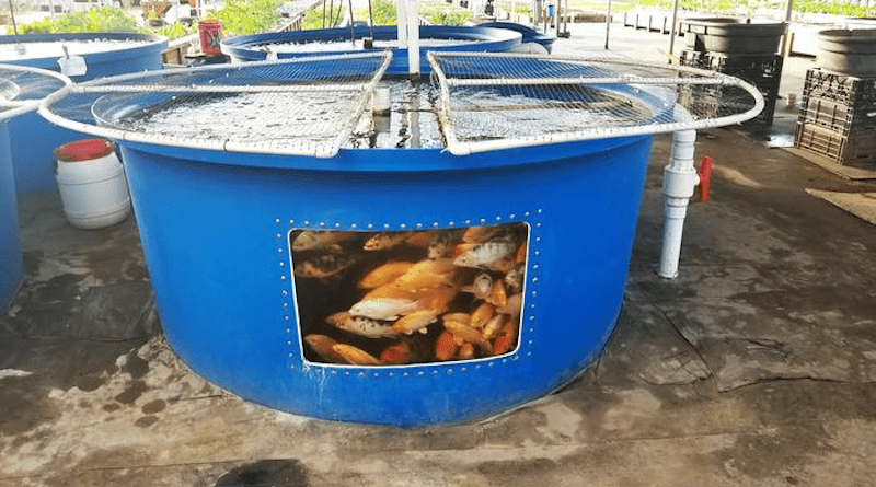 Fish Farms Can Become Biogas Producers – Eurasia Review