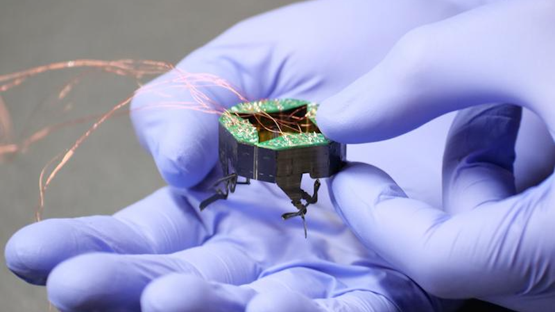 Tiny, Shape-Shifting Robot Can Squish Itself Into Tight Spaces ... Tiny, Shape-Shifting Robot Can Squish Itself Into Tight Spaces ...