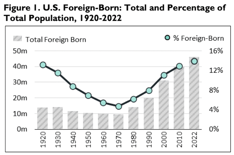 Citizenship And Immigration Statuses Of Us Foreign Born Population