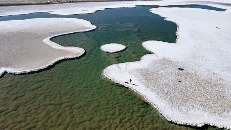 Deep Within An Inhospitable Desert, A Window To First Life On Earth ...