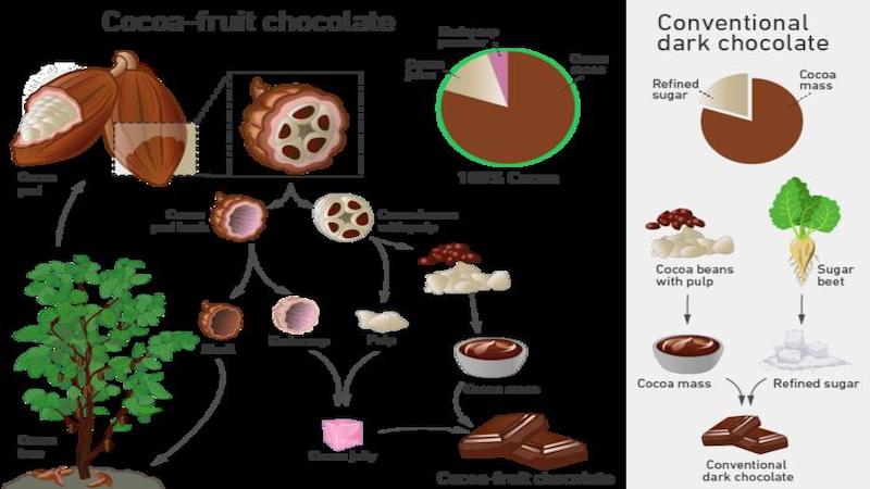 Chocolate That Harnesses Full Potential Of Cocoa Fruit – Eurasia Review