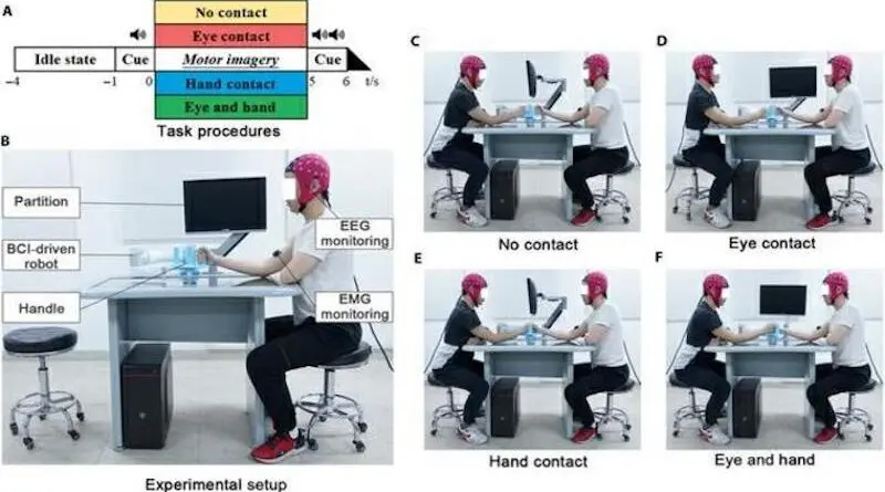 Revolutionary Brain-To-Brain Technology Boosts Brain-Computer Interface ...
