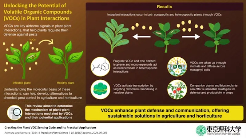 Harnessing Plant Odors To Revolutionize Sustainable Agriculture ...