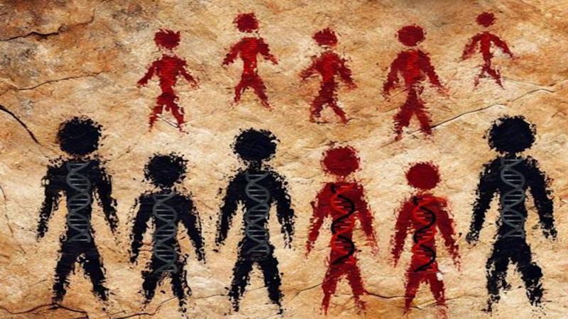 A New Timeline For Neanderthal Interbreeding With Modern Humans ...