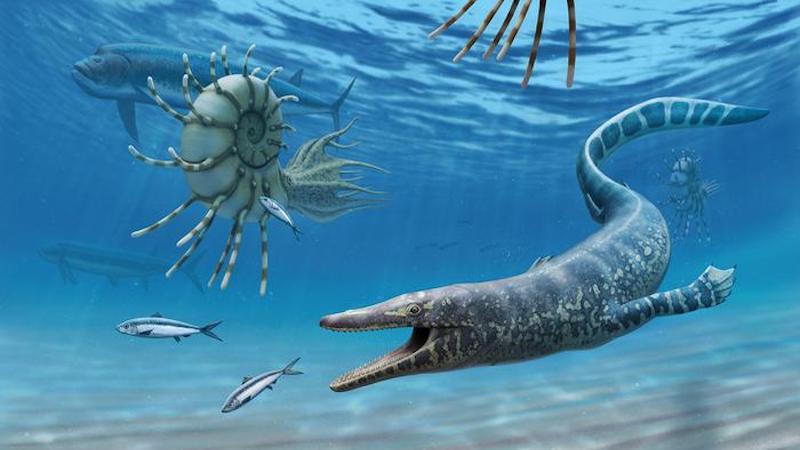 New Insights Into The Evolution And Paleoecology Of Mosasaurs – Eurasia ...