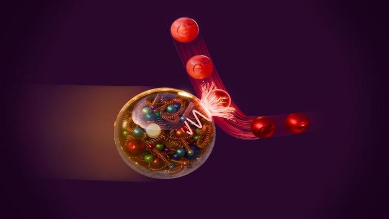 ‘Spooky Action’ At A Very Short Distance: Scientists Map Out Quantum Entanglement In Protons ...