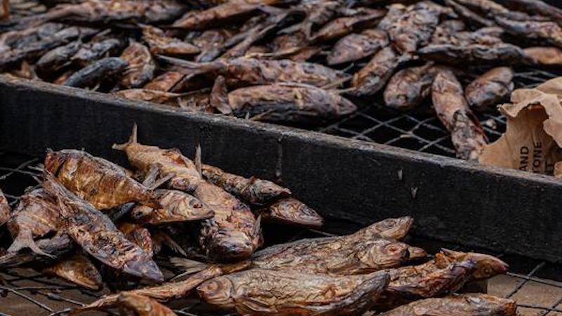 Dried Fish – The Hidden Superfood Vital For Millions Of Women And ...