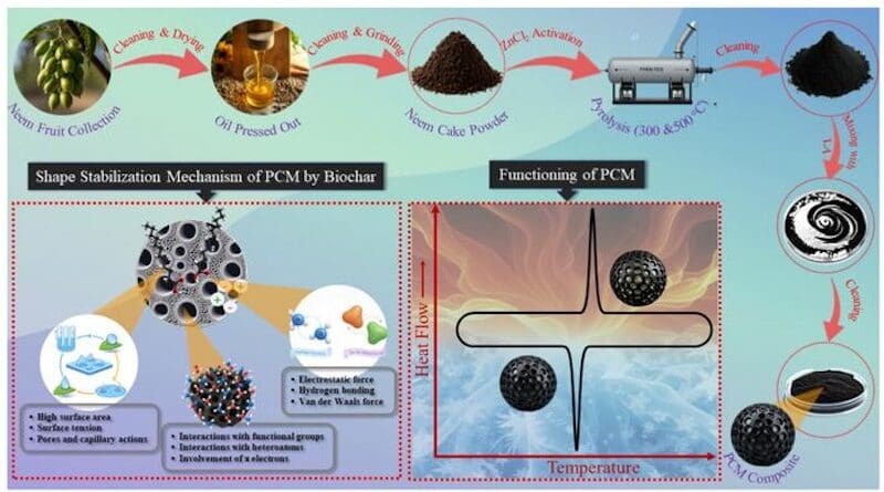 Waste Neem Seeds Become High-Performance Heat Batteries For Clean ...
